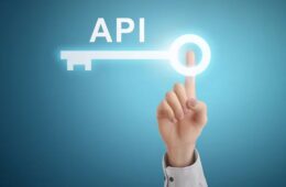 What Does an API Look Like