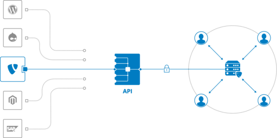 What Is An API Wrapper - Got API - All about APIs