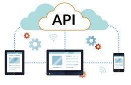 What is Open API: The Complete Guide